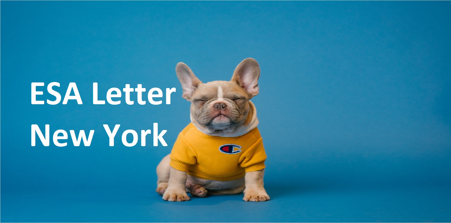 ESA Letter New York - Emotional Support Animal New York